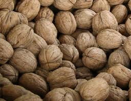 plants fruitiers divers